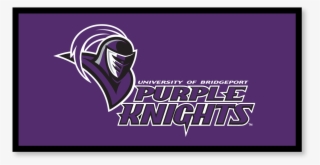 Felt Banner - University Of Bridgeport - 1200x626 PNG Download - PNGkit