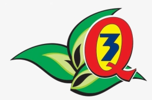 Logo 3q New - Fruit - 765x514 PNG Download - PNGkit