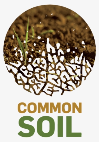 Common Sense For Living Soil - Poster - 500x714 PNG Download - PNGkit