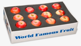 To Ensure Every Gift Is Only In Transit For Two Days - 800x455 PNG ...