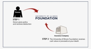 Life Insurance Policy Diagram - Diagram - 825x450 PNG Download - PNGkit
