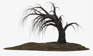 Creepy Tree 05 By Wolverine041269 On Clipart Library - Creepy Tree ...