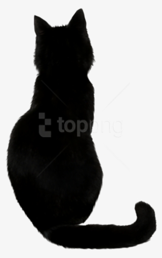 Black Cat - Back Of A Black Cat - 771x1228 PNG Download - PNGkit