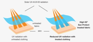 High Iq Sun Protect Uva And B Diagram - Diagram - 1000x490 PNG Download ...