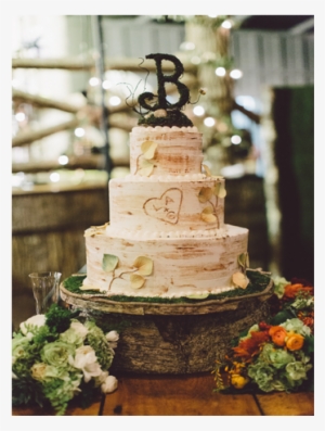 Aspen Tree Cake - Свадебные Торты В Стиле Рустик - 480x480 PNG Download ...