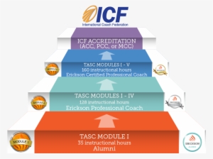 Become Icf Certified - International Coach Federation - 791x577 PNG ...