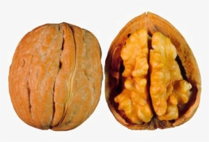 Walnut Png Free Download - Walnut Definition - 400x400 PNG Download ...